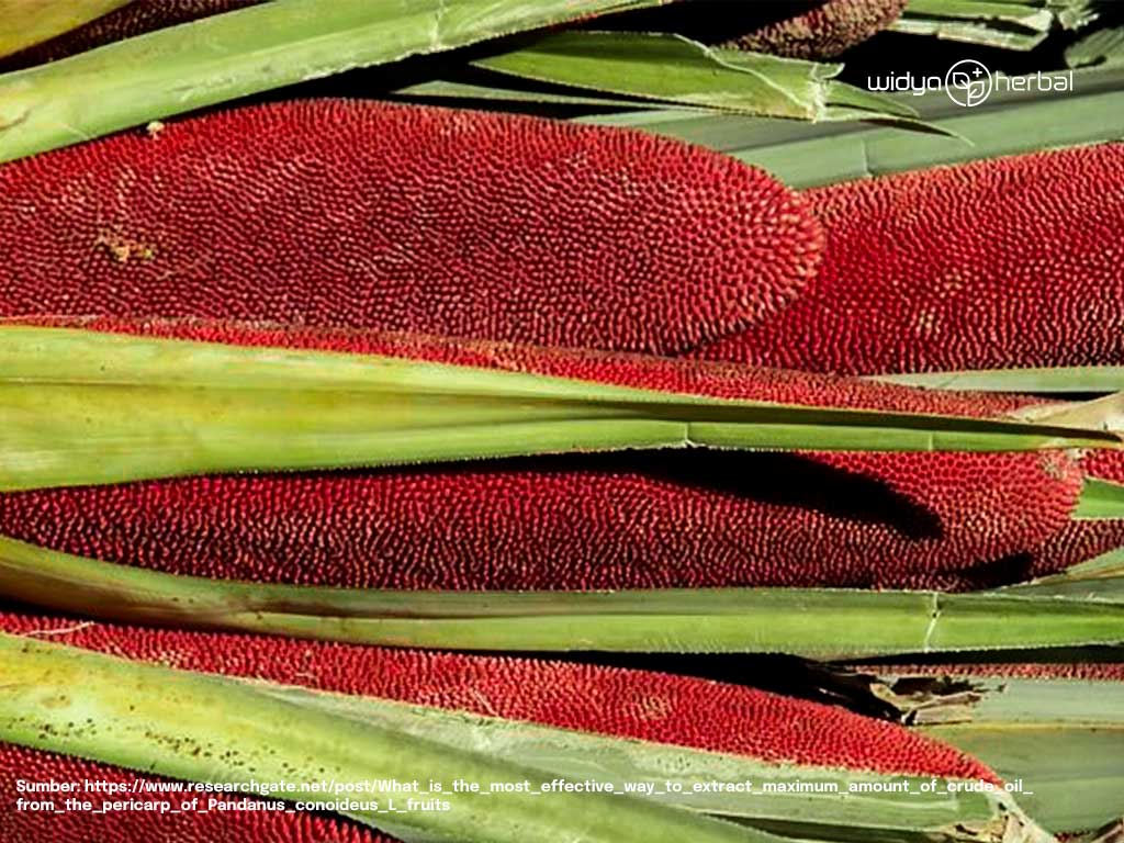 Resep Olahan Saus Buah Merah Pedas yang Lezat