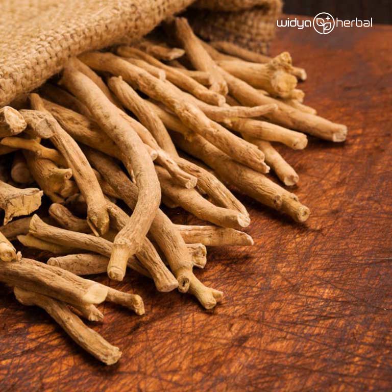 Ashwagandha, Ginseng India yang Kaya akan Senyawa Berkhasiat